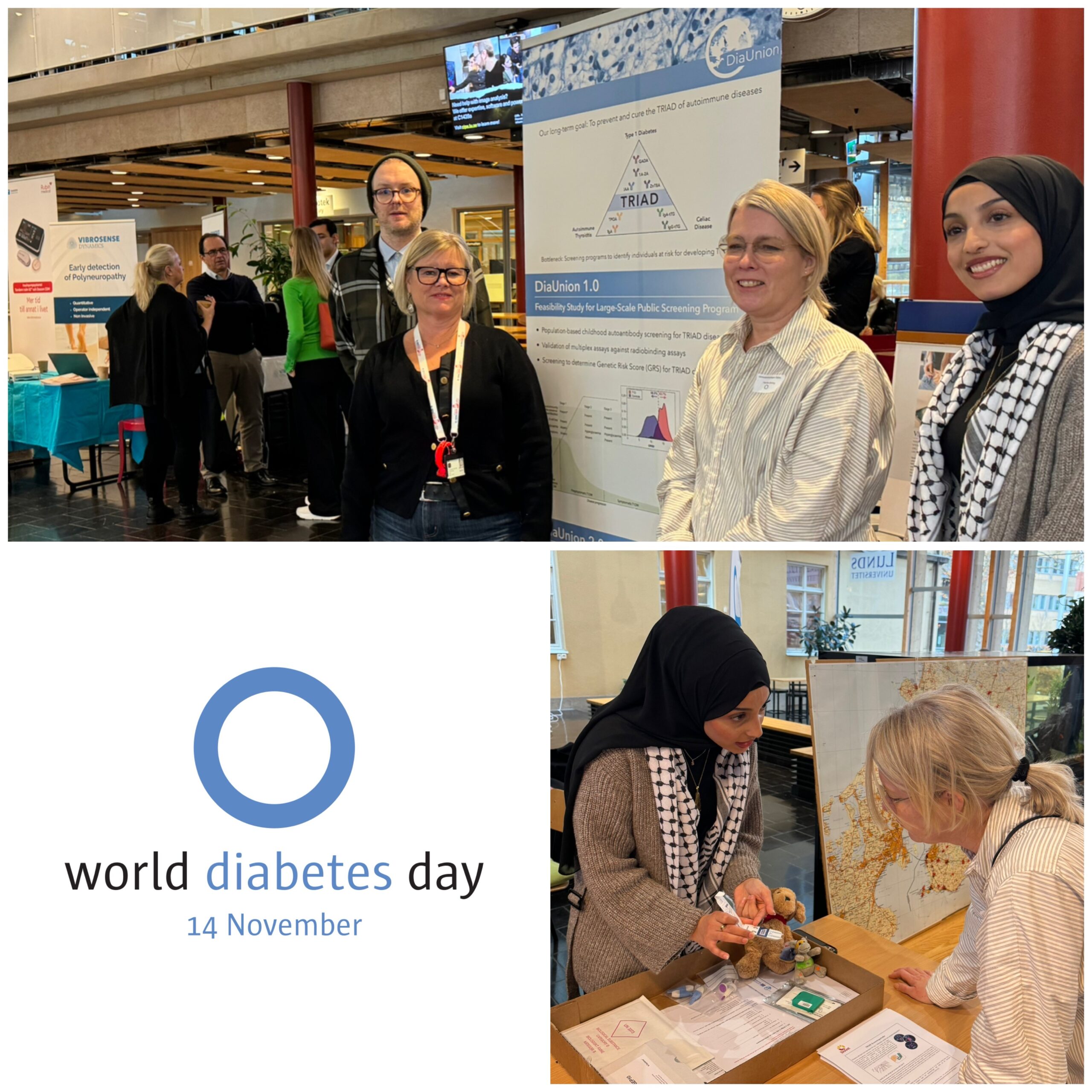DiaUnion marks World Diabetes Day 2024 - DiaUnion
