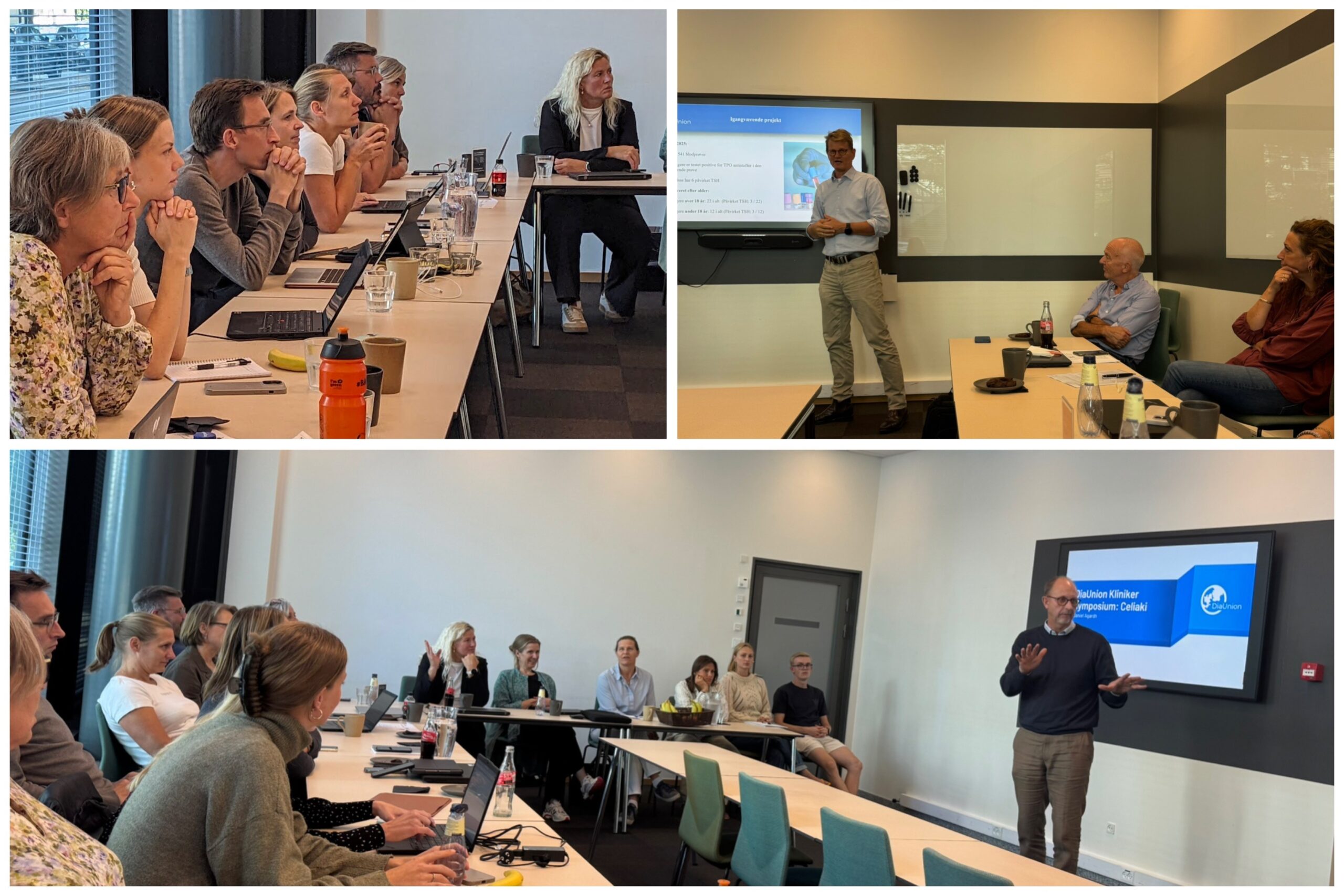 Clinical focus on Early Detection of Type 1 Diabetes (T1D) - DiaUnion